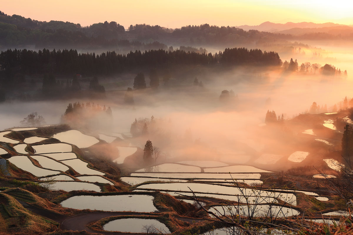 Niigata: Rich in Variety | Asian Inspirations