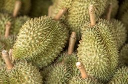 The King of Fruits: A Guide to Durian | Asian Inspirations