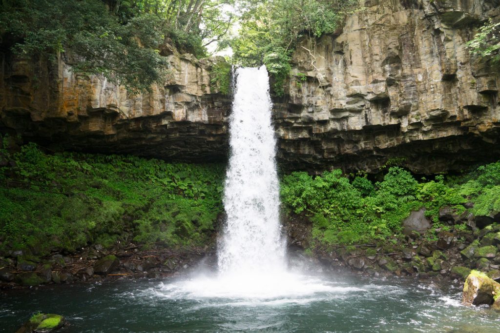 Unique Places to Visit in Japan: Wasabi Fields of Ikadaba | Asian ...