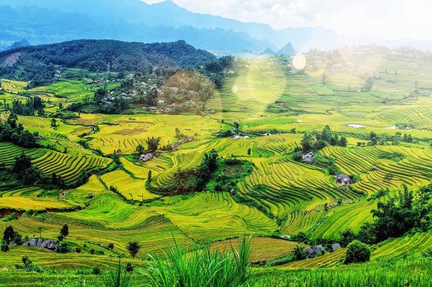 Travel to… Asia’s Most Beautiful Rice Terraces | Asian Inspirations