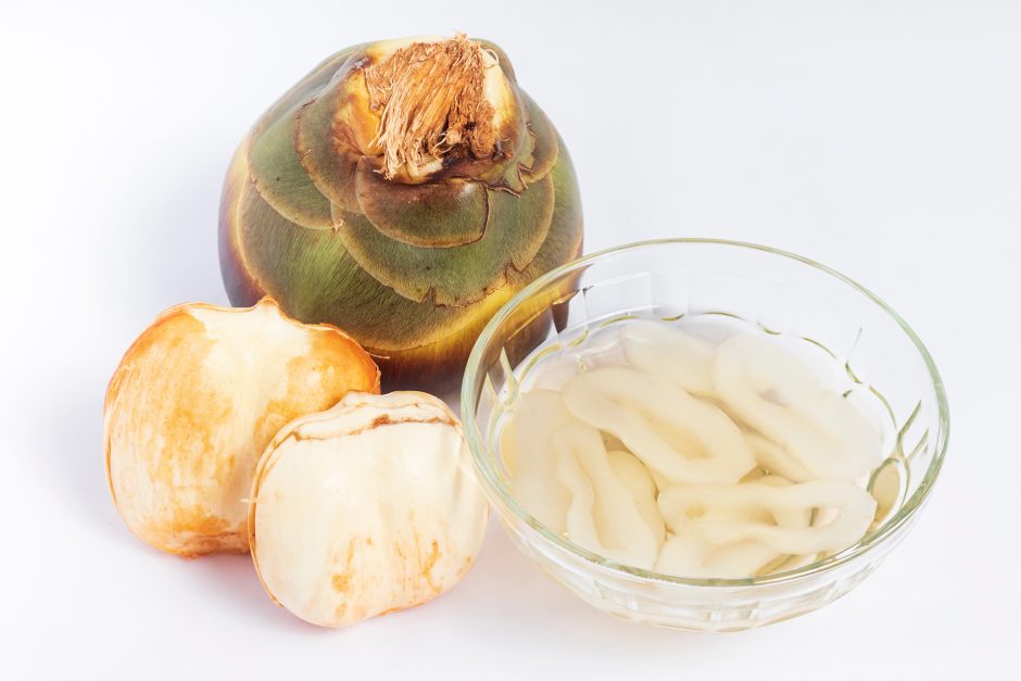 What is Asian Sea Coconut? | Asian Inspirations