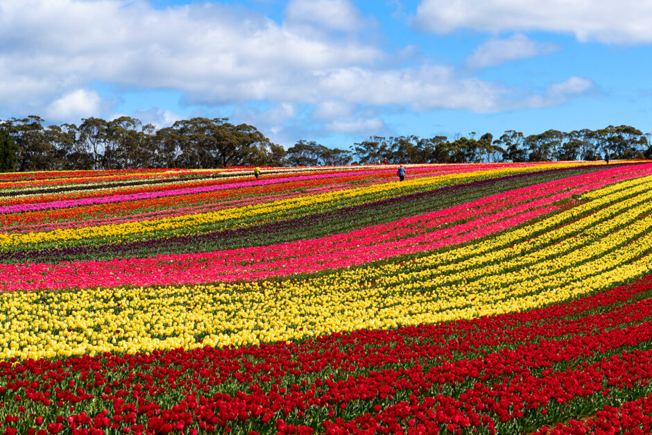 Experiences | Asian Inspirations