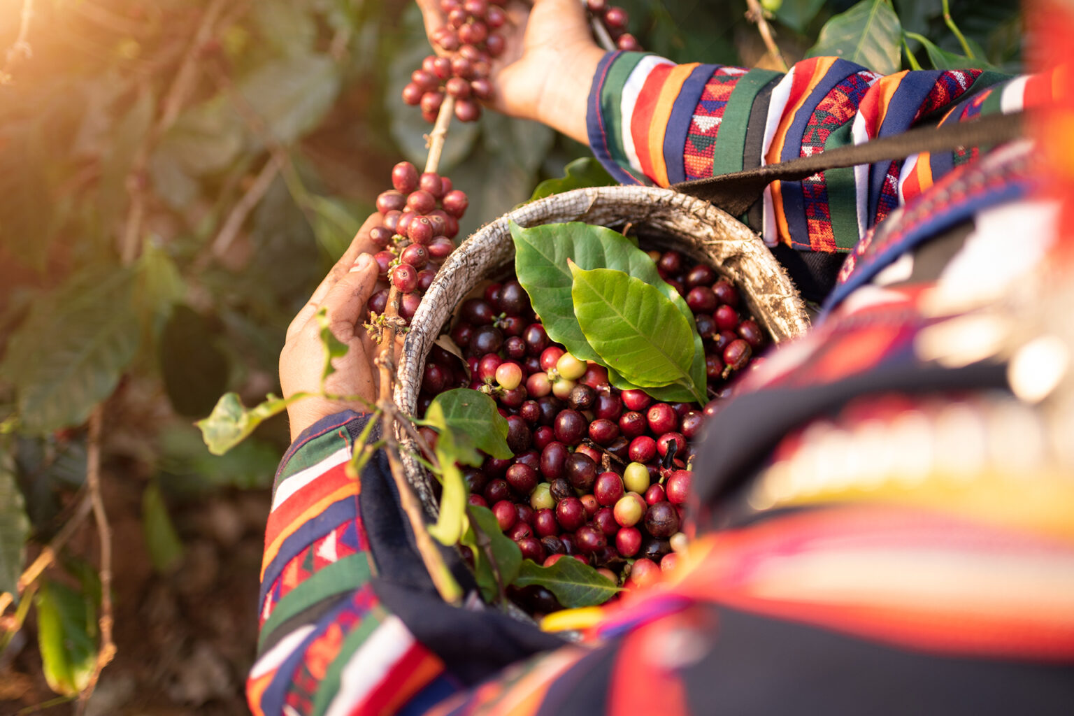 Asian Recipes - Healthy & Authentic | Asian Inspirations