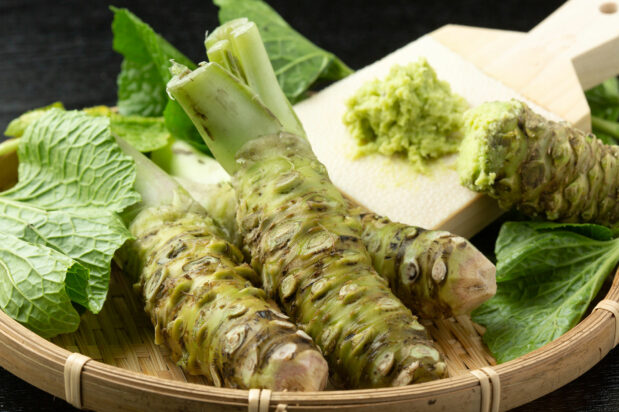 6 Exciting Wasabi Delights to Ignite Your Senses | Asian Inspirations