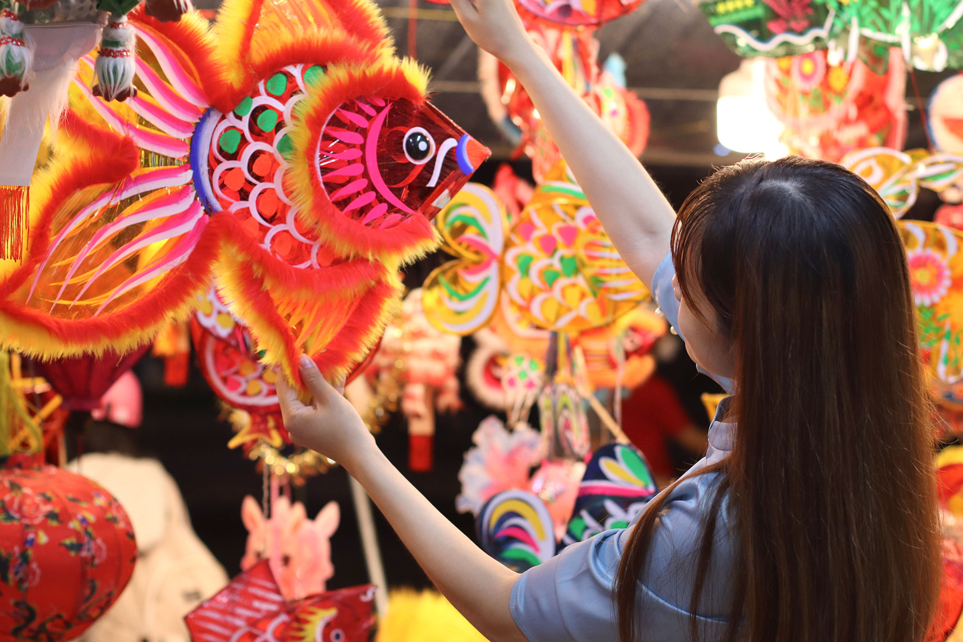 The Mystery of Coconut Migration | Asian Inspirations